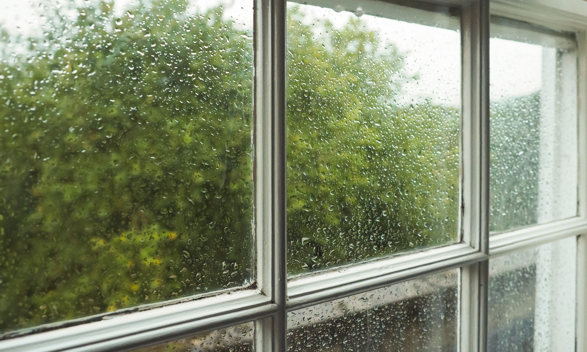Understanding Low-E Coatings: What They Are and Why They Matter - TRX ...